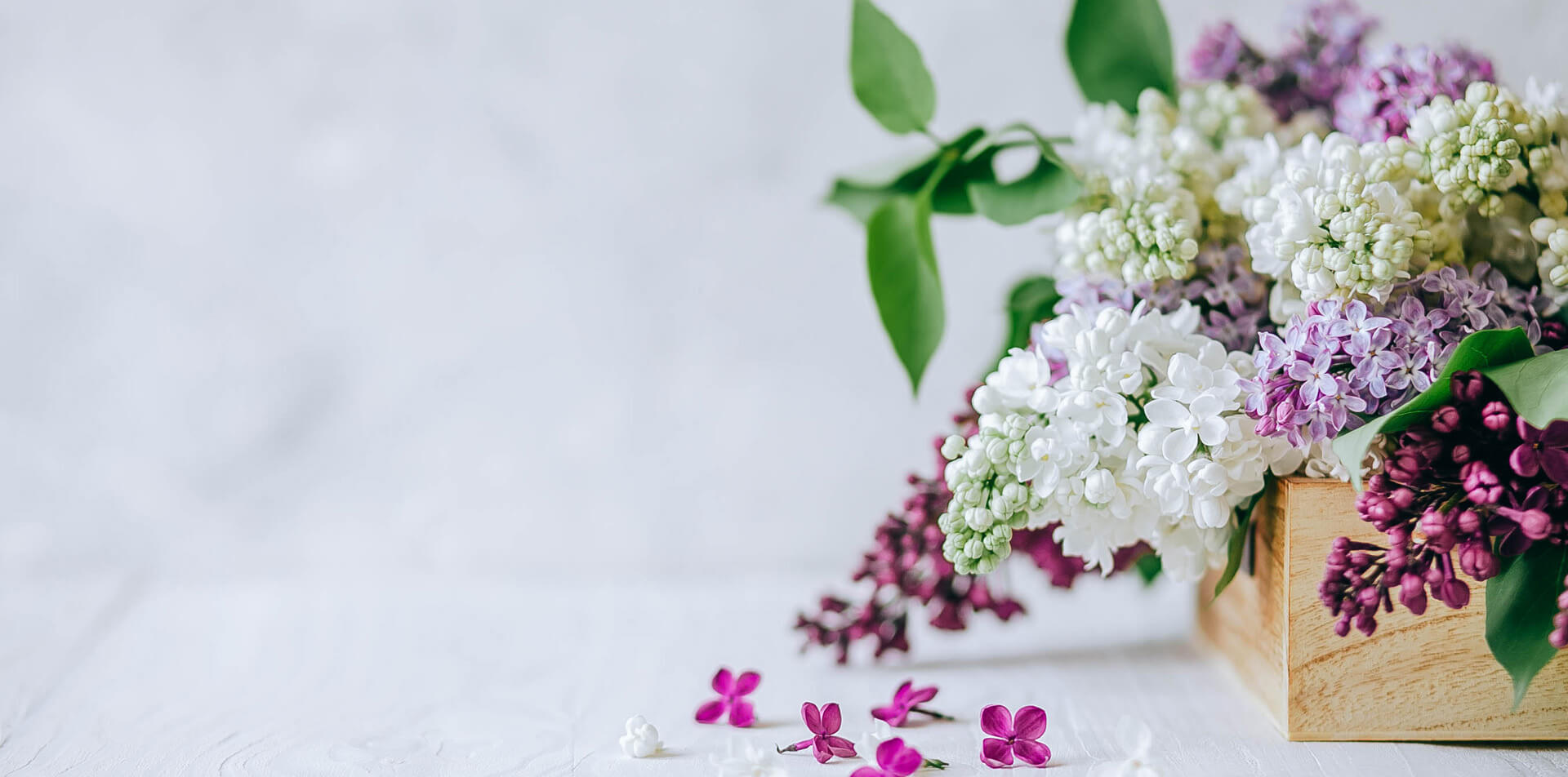 Toronto Flower Delivery - Free Same-Day Delivery- Toronto's #1 Florist ...