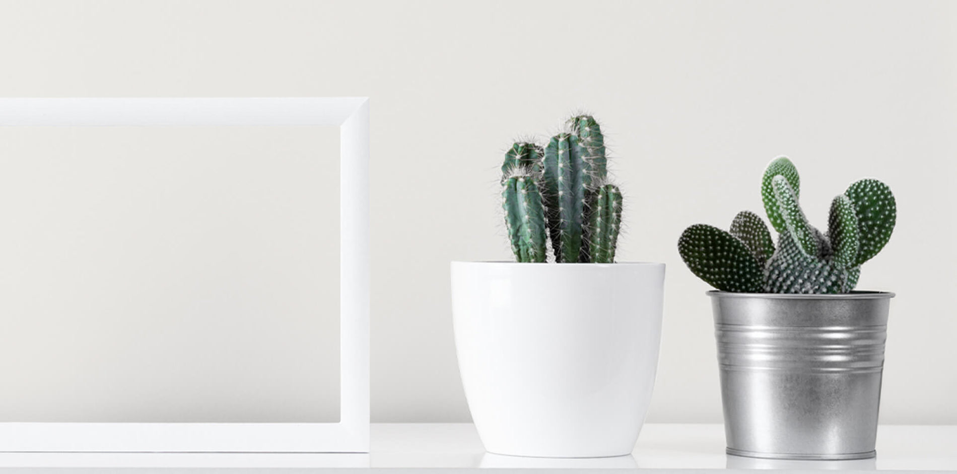 Toronto Blooms® | Premium Flower Delivery in Toronto